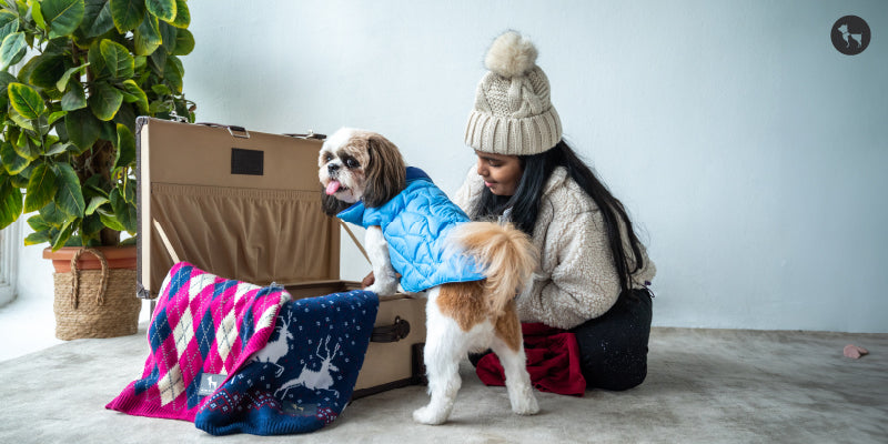Winter Care Tips For Dog: How To Keep Your Pup Warm & Stylish