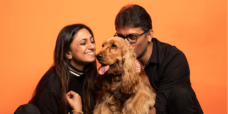 20 Professional Photography Tips for Taking Perfect Pet Photos