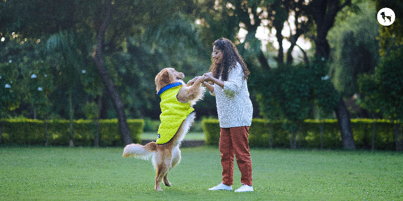 HUFT Top 10 Trending Winter Wear and Care Products For Pets