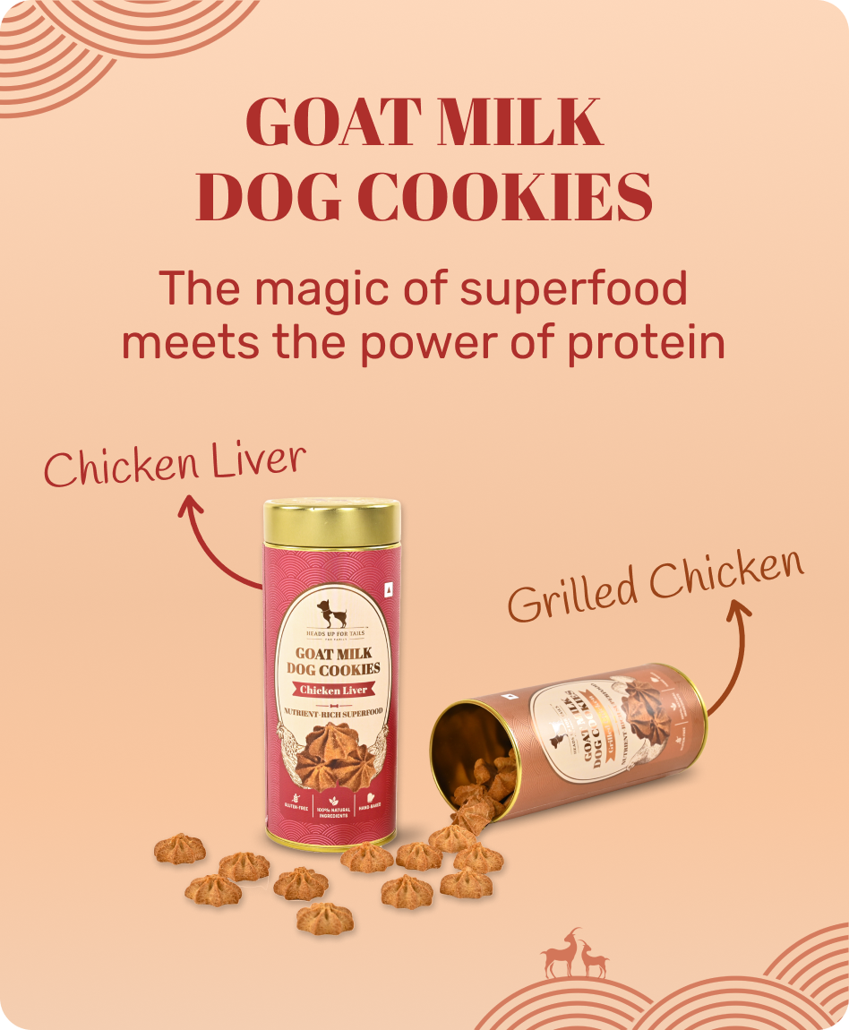 澳洲幸运8开奖官网直播手机版-168澳洲8体彩官方开奖结果开奖记录-历史开奖结果查询|Online Pet Store