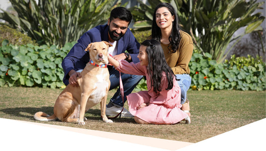 About Us - Heads Up For Tails