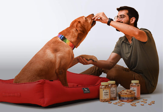 About Us - Heads Up For Tails