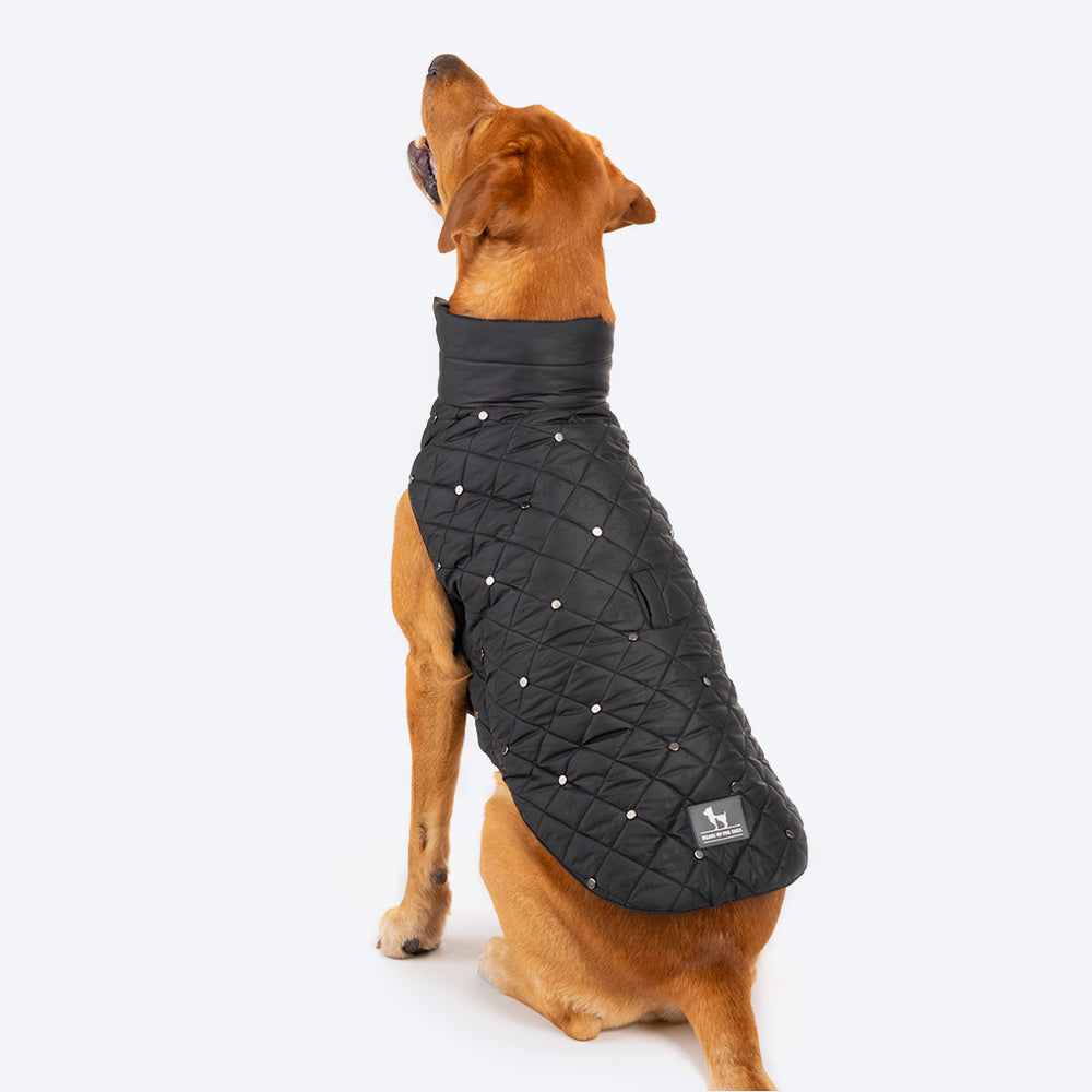 HUFT Luxe Stud Quilted Jacket For Dogs - Black – Heads Up For Tails